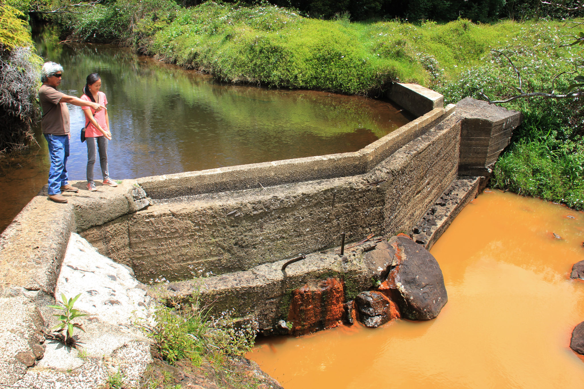 Waimea - Ola i ka Wai